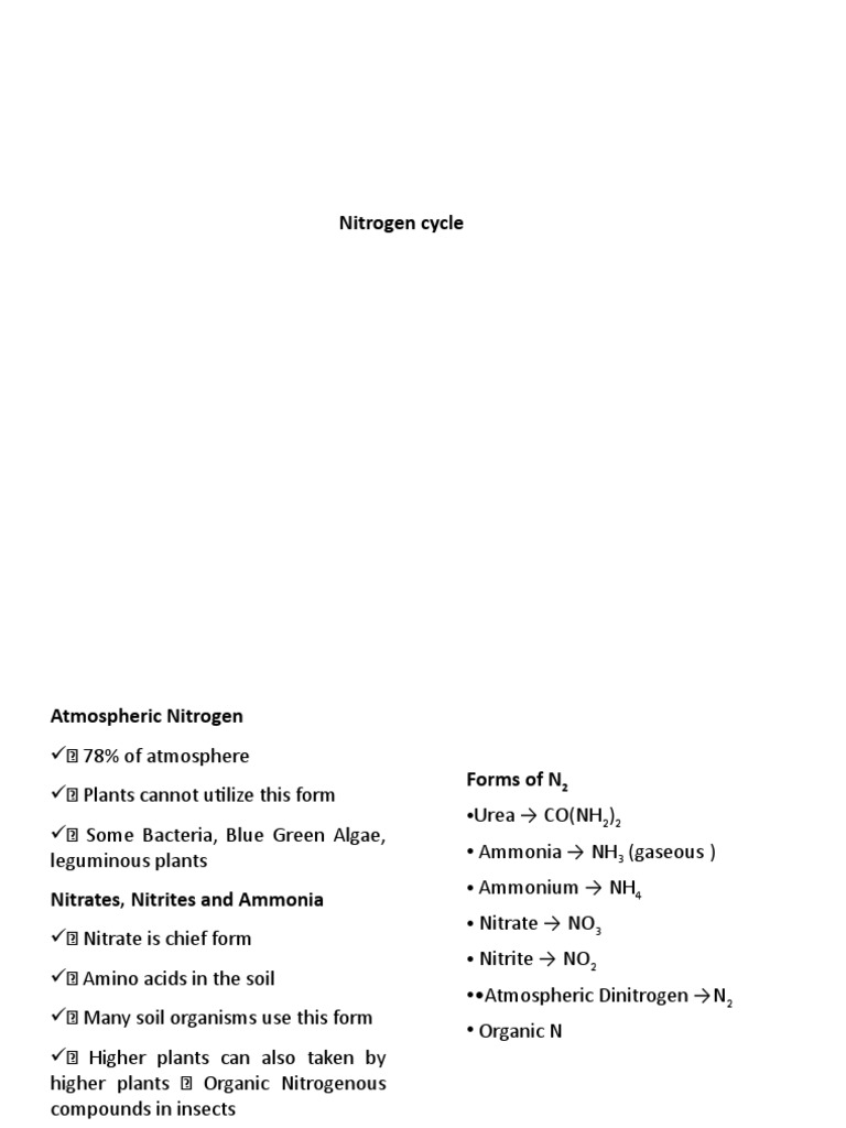 Understanding the Complex Nitrogen Cycle: An In-Depth Look at ...