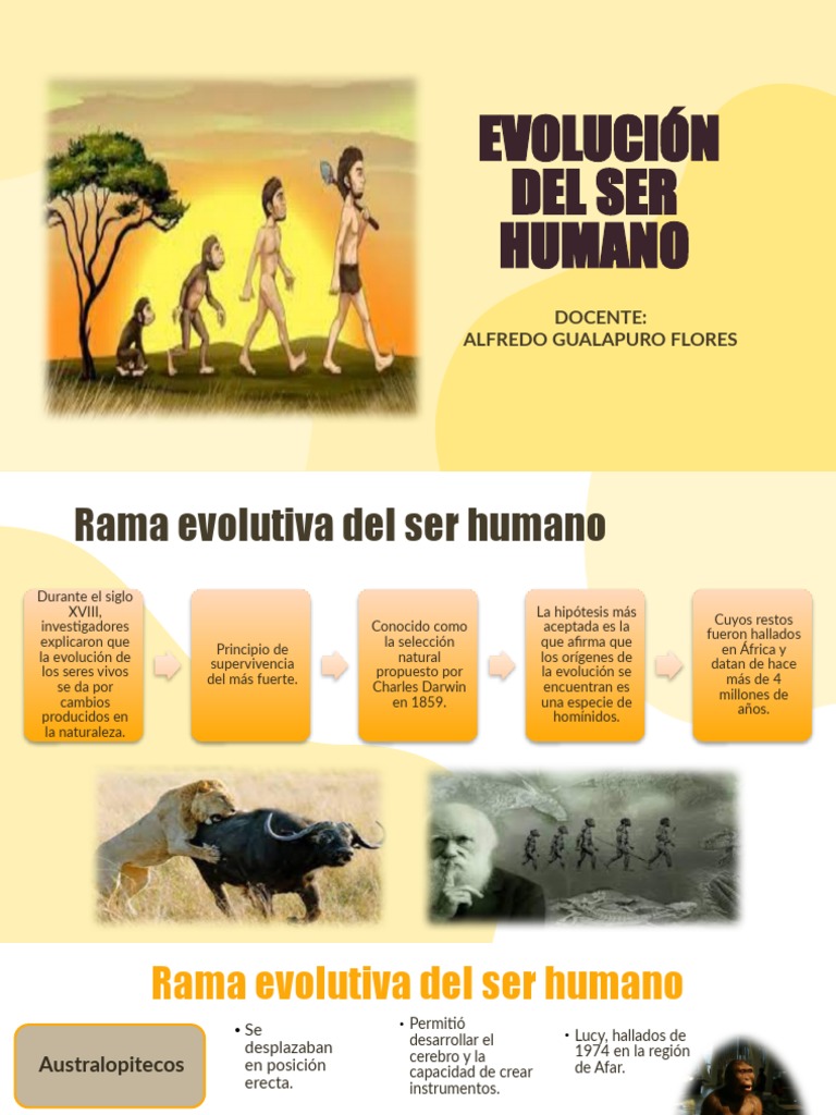 CLASE 11 - Evolucion Del Ser Humano | PDF | Homo | Evolución