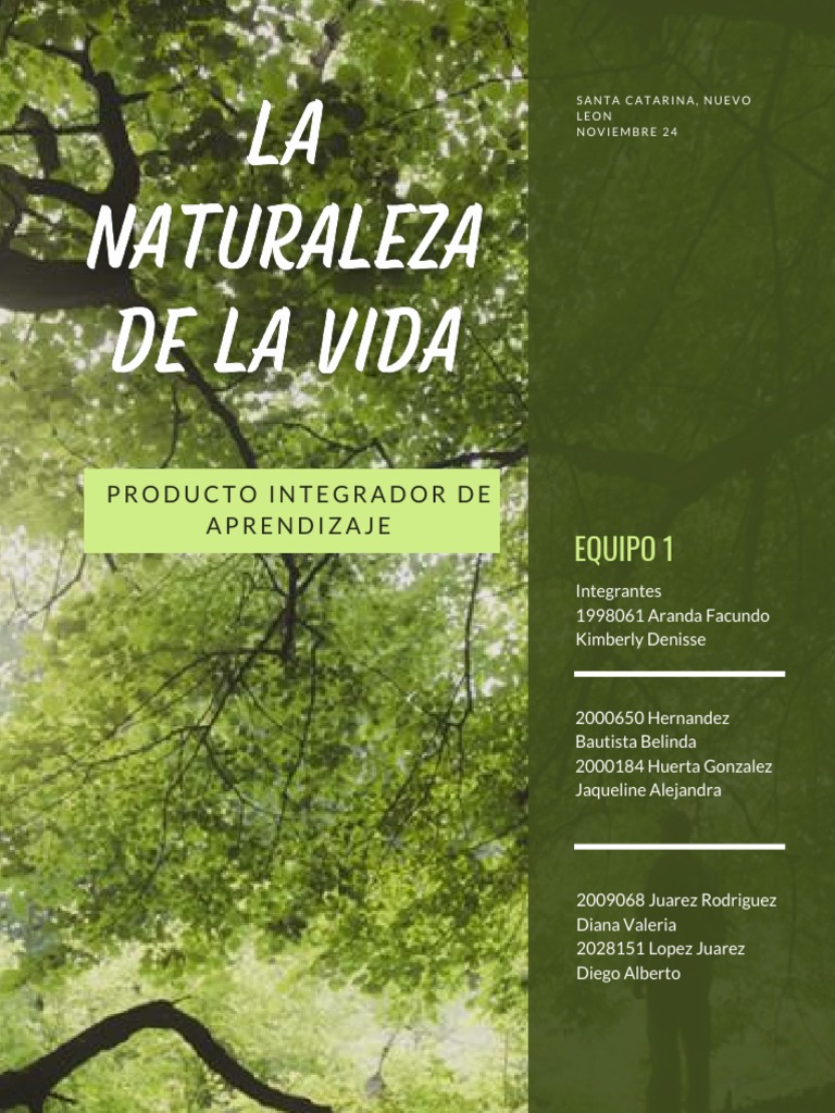 La Naturaleza de La Vida | PDF | Biodiversidad | Respiración