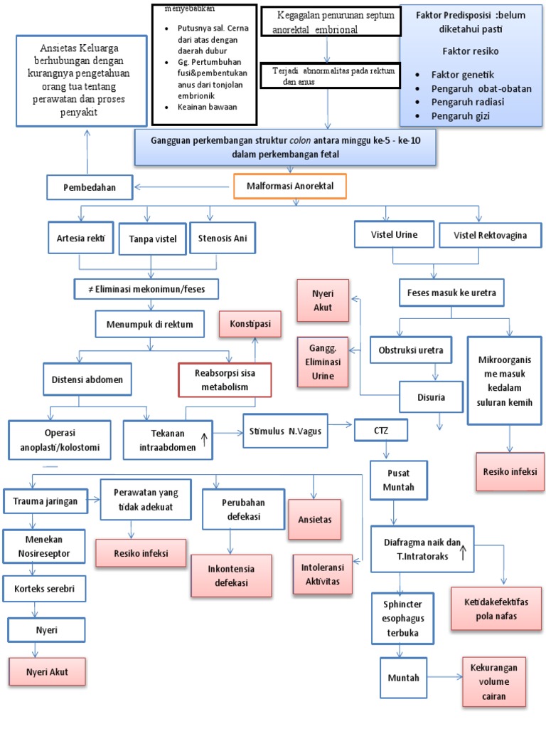 WOC Malformasi Anorektal | PDF