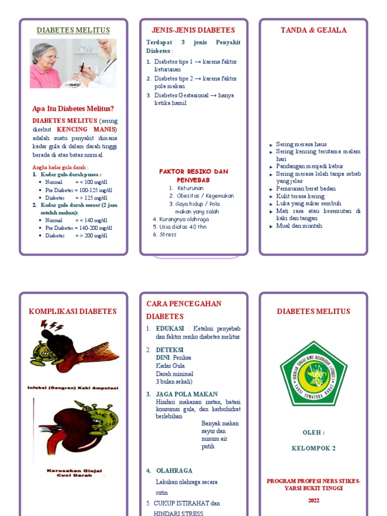 Leaflet DM Lansia Oke | PDF