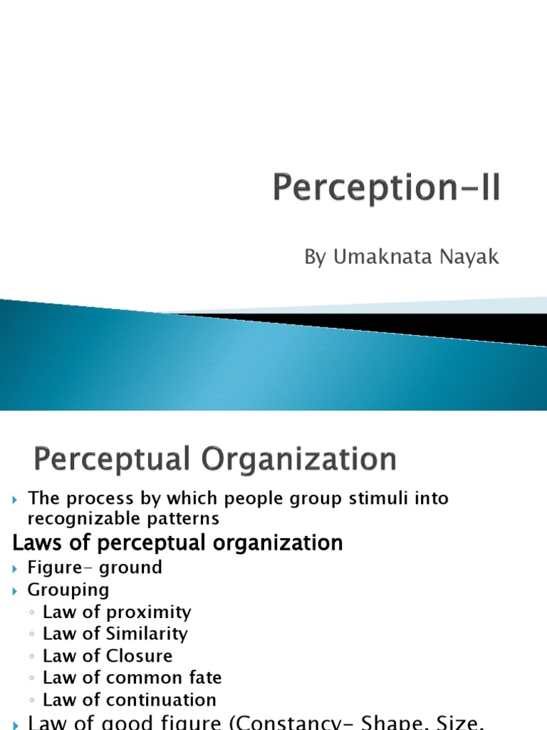 Perceptual Organization | PDF