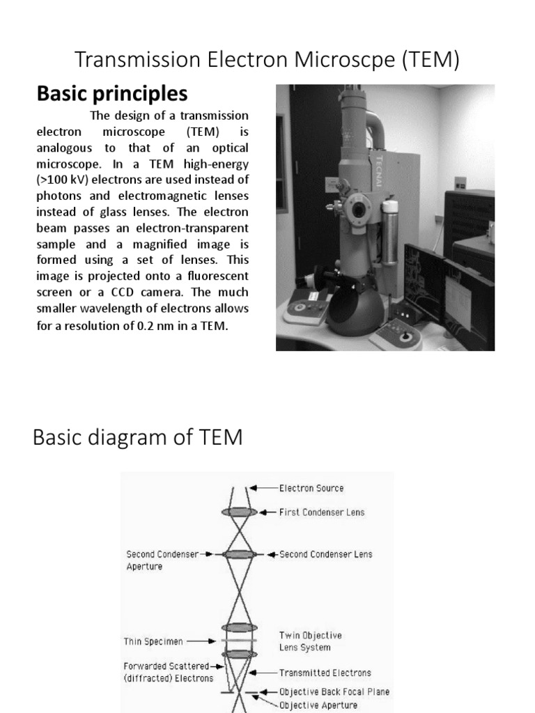 Transmission Electron Microscpe (TEM) : Basic Principles | PDF ...