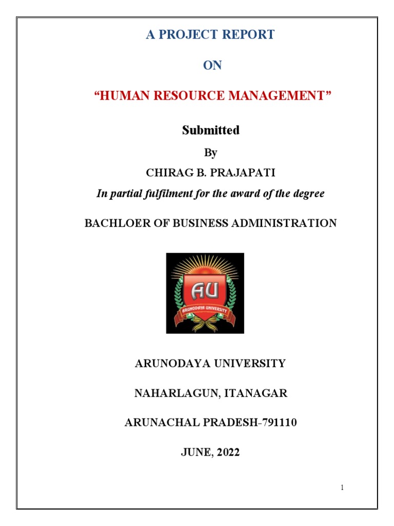 Project Report HRM | PDF | Human Resource Management | Performance ...