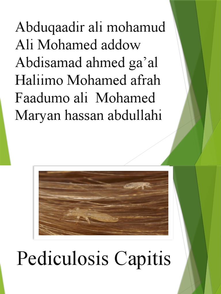 Abduqaadir Ali Mohamud Ali Mohamed Addow Abdisamad Ahmed Ga'al Haliimo ...