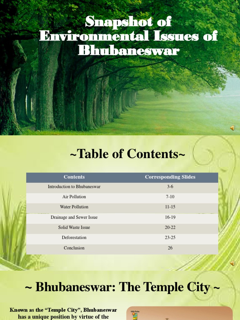 Project-1 (Example) | PDF | Sewage | Water Pollution