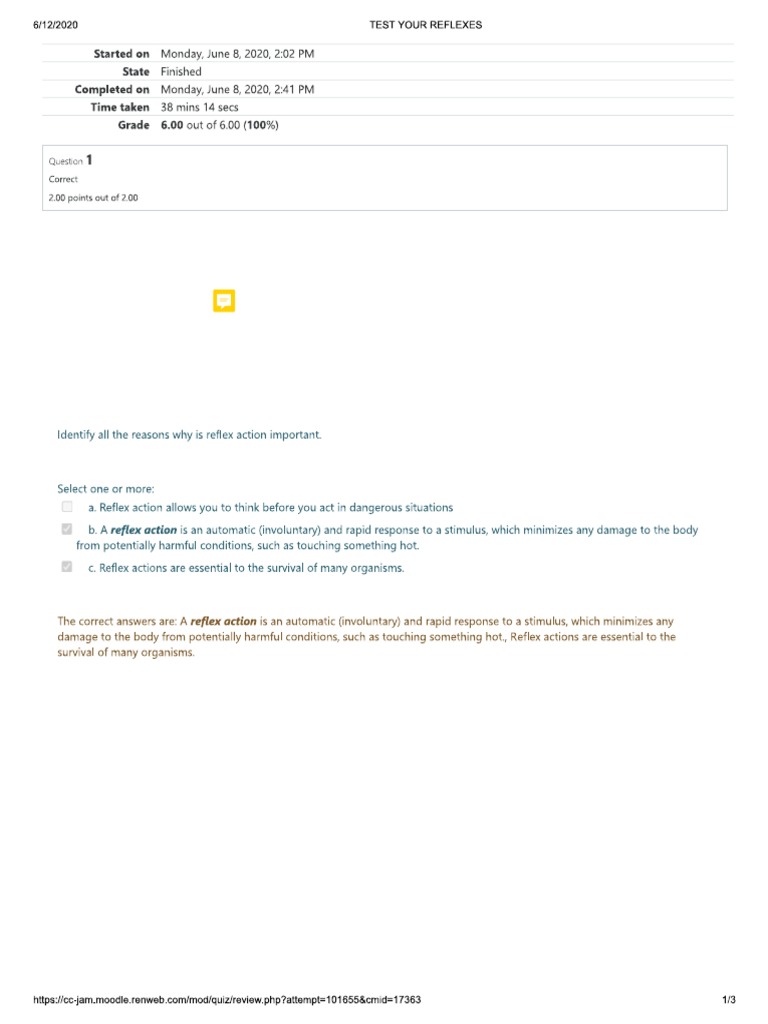 Test Your Reflexes | PDF