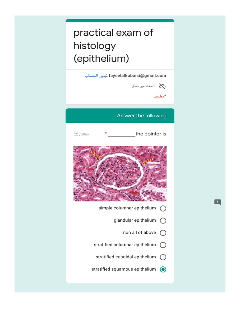 Practical Exam of Histology (Epithelium) | PDF | Epithelium | Animal ...