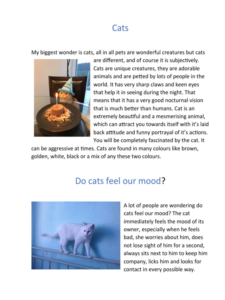 Document | PDF | Cats | Perception