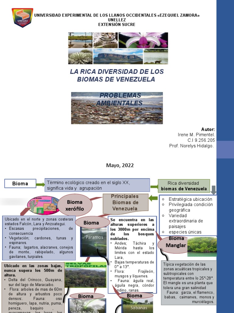 Mapas Biomas de Venezuela y Problemas Ambientales Irene Pimentel | PDF ...