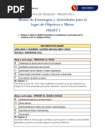 2° Matriz Objetivos Smart (Sebastian Torres Mesias) | PDF