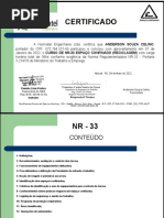 Modelo - Certificado de NR 12 | PDF