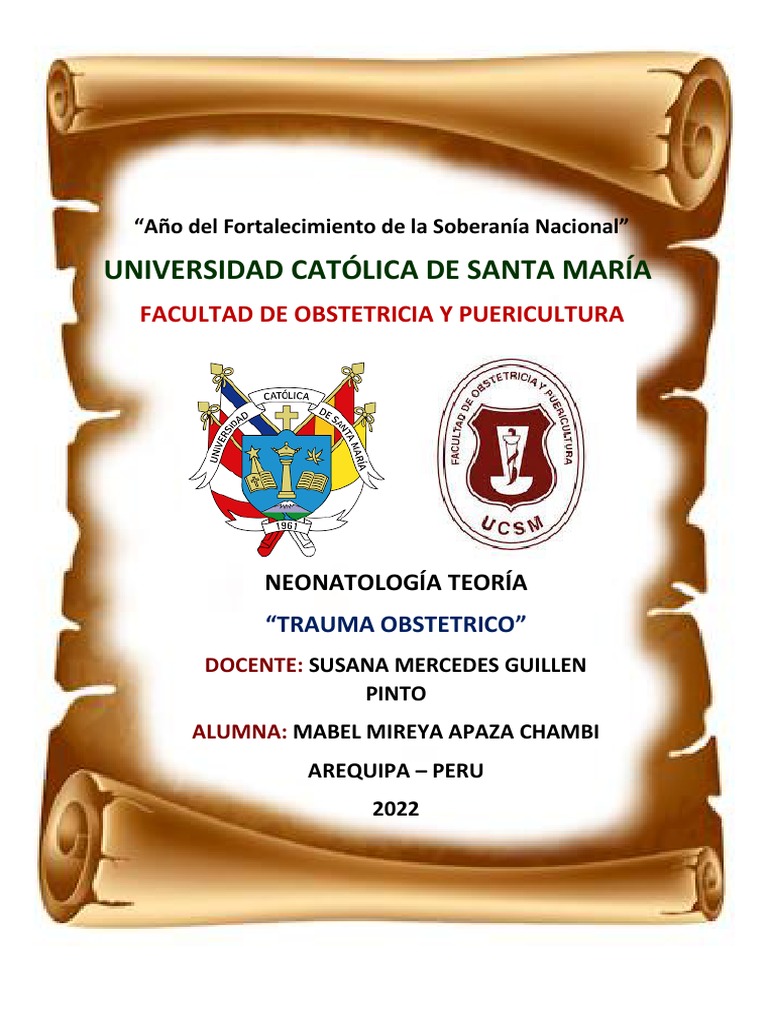 Trauma Obstetrico Mabel Mireya Apaza Chambi | PDF
