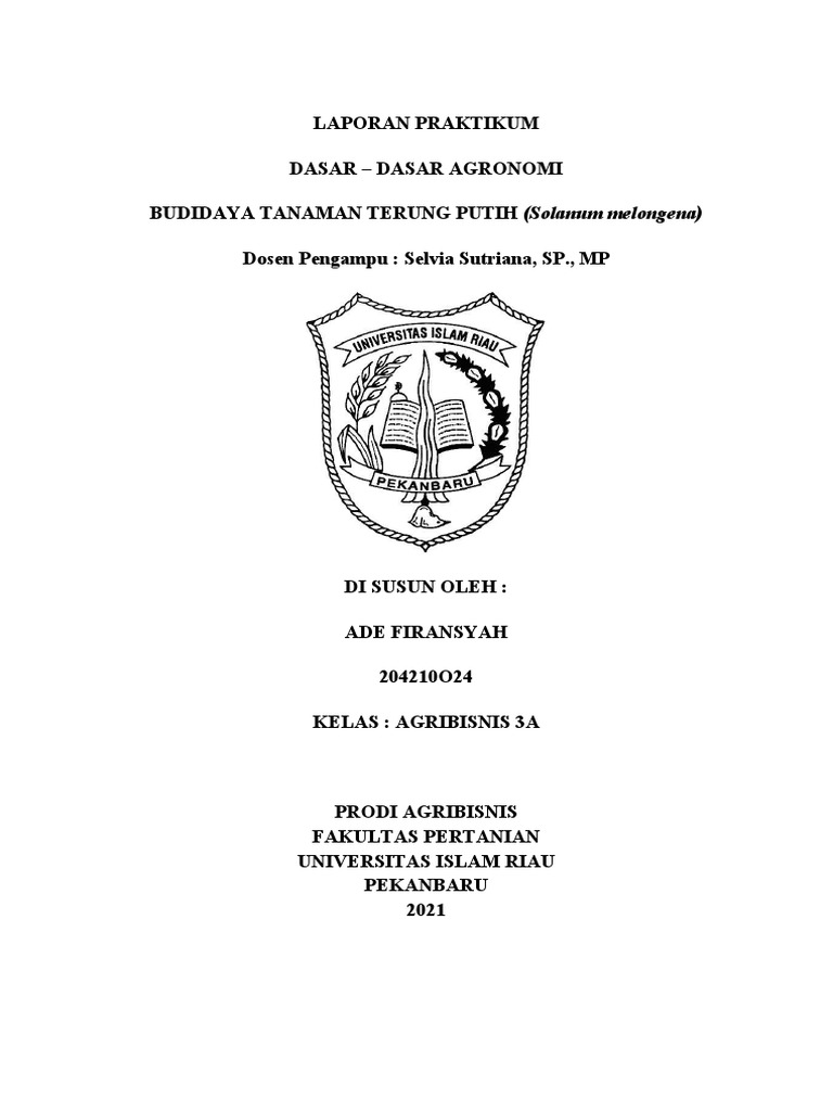 Laporan Dda Ade Firansyah | PDF