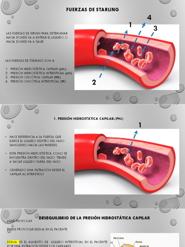 Fuerza de Starling | PDF | Edema | Especialidades Medicas