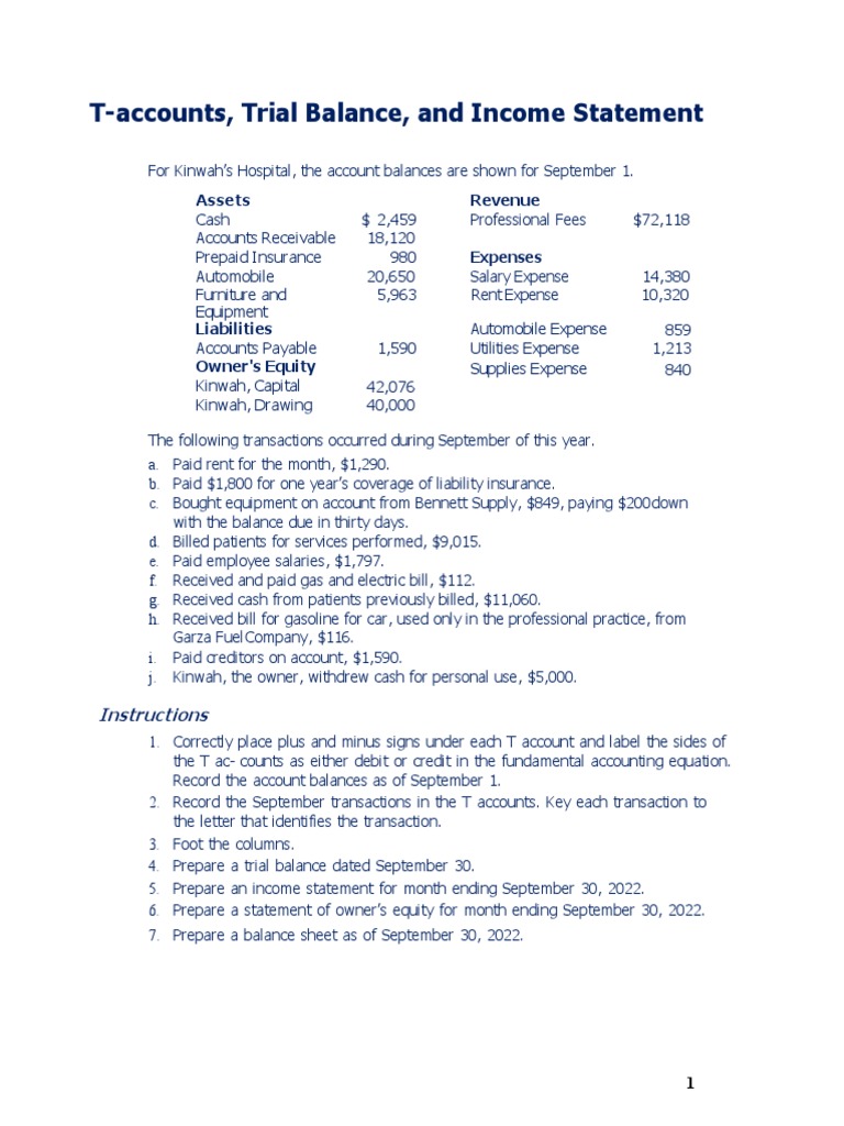 1.3 Worksheet - T Account, Trial Balance & Income Statement | PDF