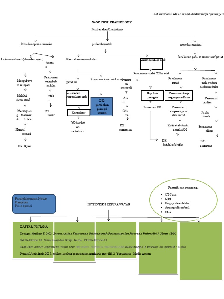 Woc Post Craniotomy PDF Free | PDF