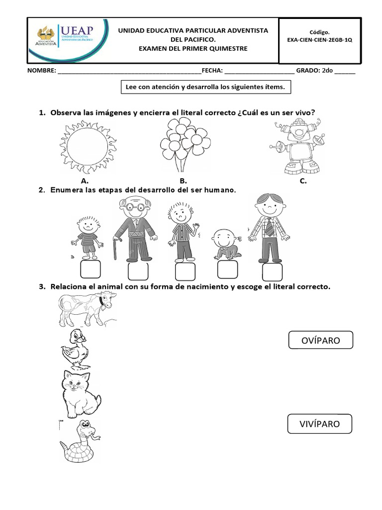 Examen de CCNN Del 1Q 2do AEB 2019 | PDF
