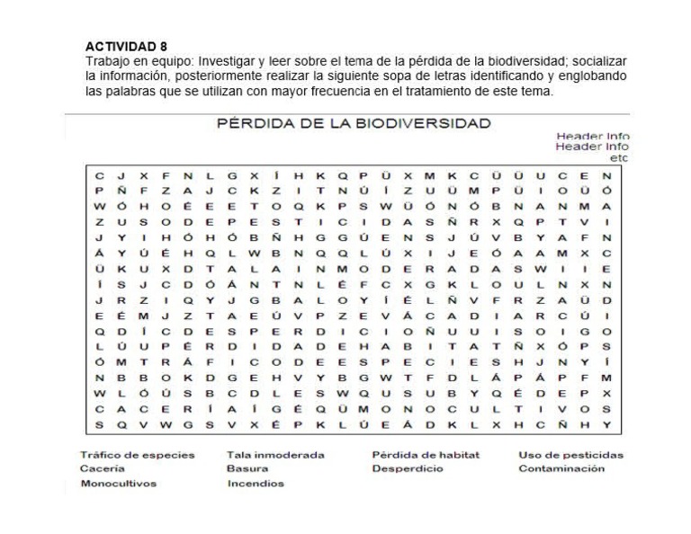 Sopa Biodiversidad | PDF