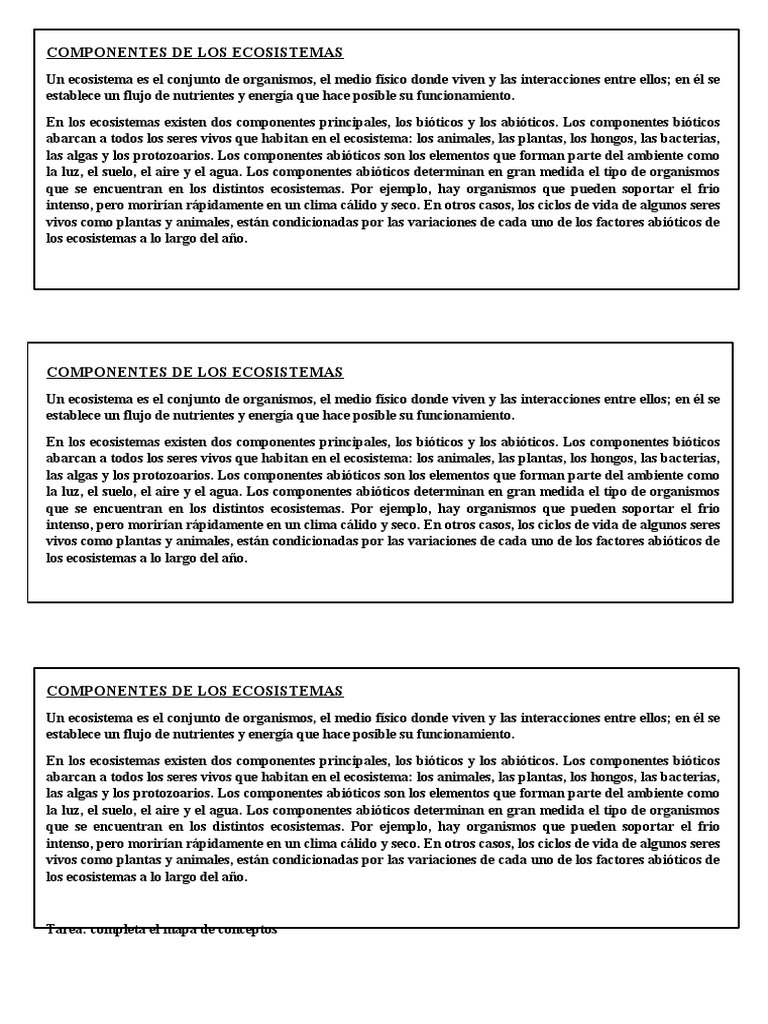 Componentes de Los Ecosistemas, Esquema | Descargar gratis PDF ...