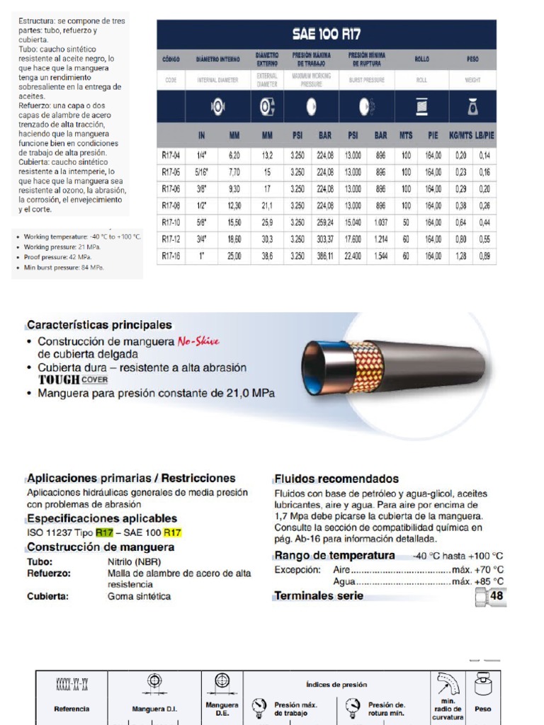 Sae 100 R17 - Din 857 1SC | PDF