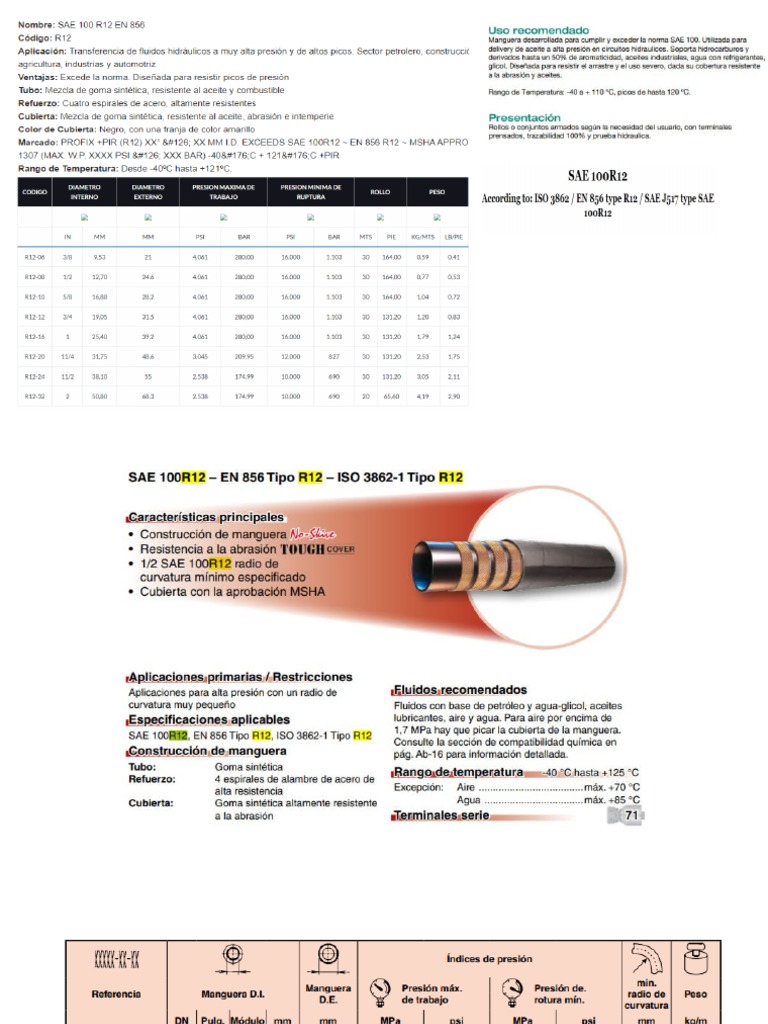 Sae100 R12 - en 856 - Iso 3862 | PDF