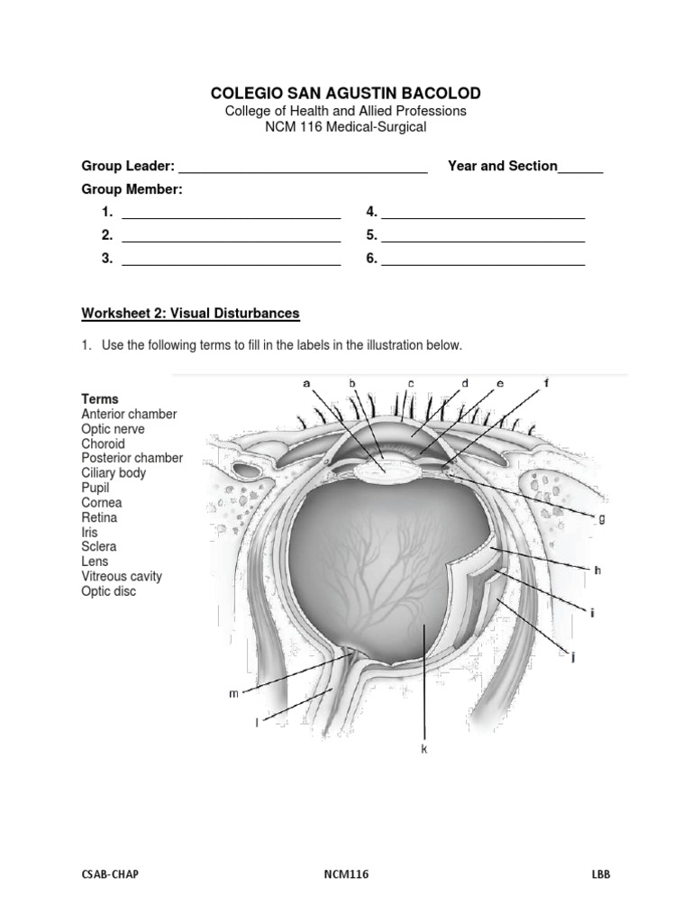 Worksheet 2 Visual Disturbance | PDF | Human Eye | Glaucoma