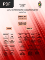 BDRRMC Structure | PDF | Security | Prevention