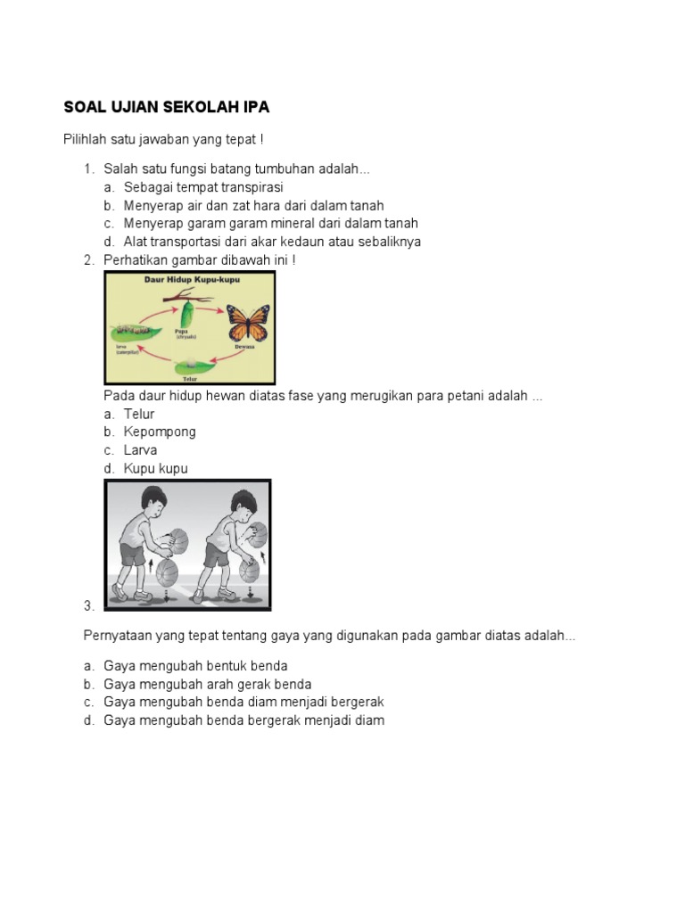 Soal Ujian Sekolah Ipa | PDF