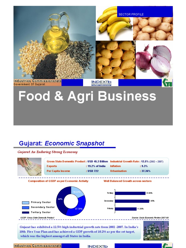 Agro Food Processing | PDF | Gujarat | Agriculture