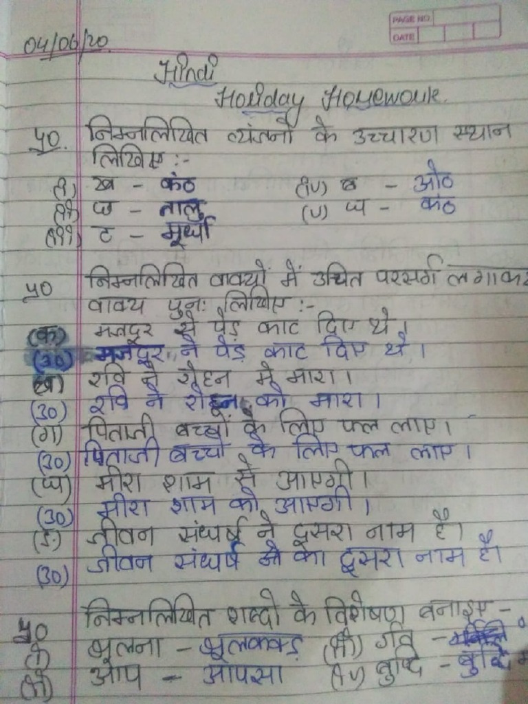 Hindi Holiday Homework | PDF