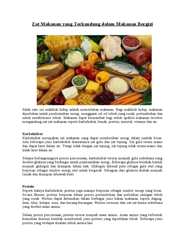 Zat Makanan Yang Terkandung Dalam Makanan Bergizi | PDF