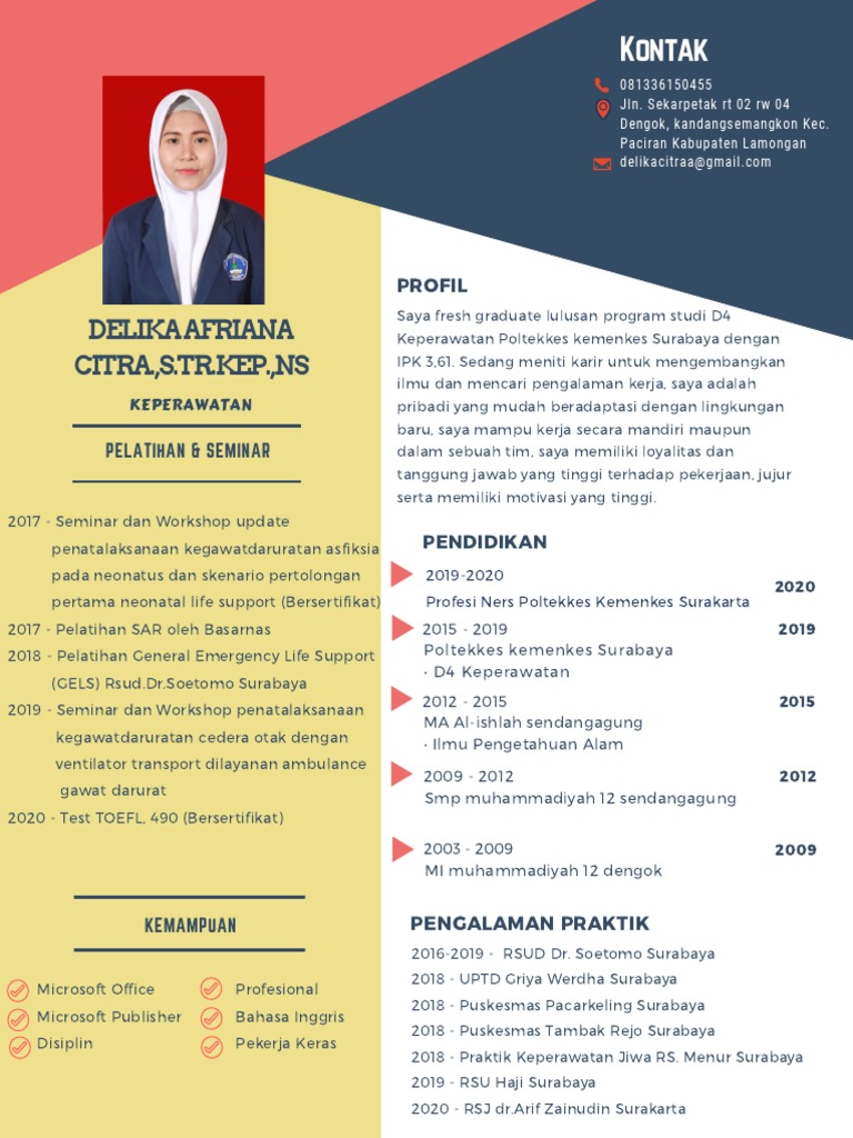 CV Delika 3 | PDF