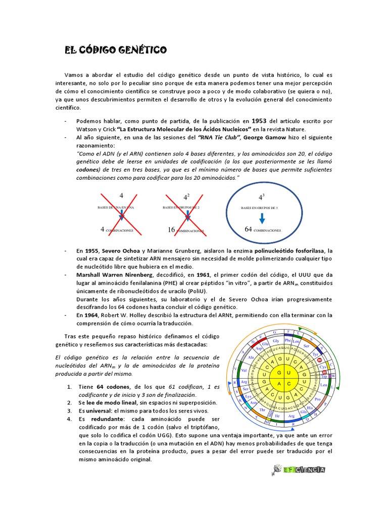B075.Codigo Genetico | PDF | Codigo genetico | Rna