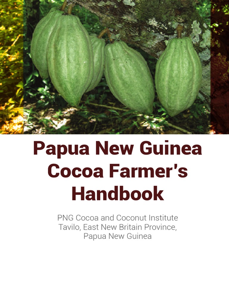 Cocoa Farmer's Handbook - Papua New Guinea | PDF | Cocoa Bean | Grafting