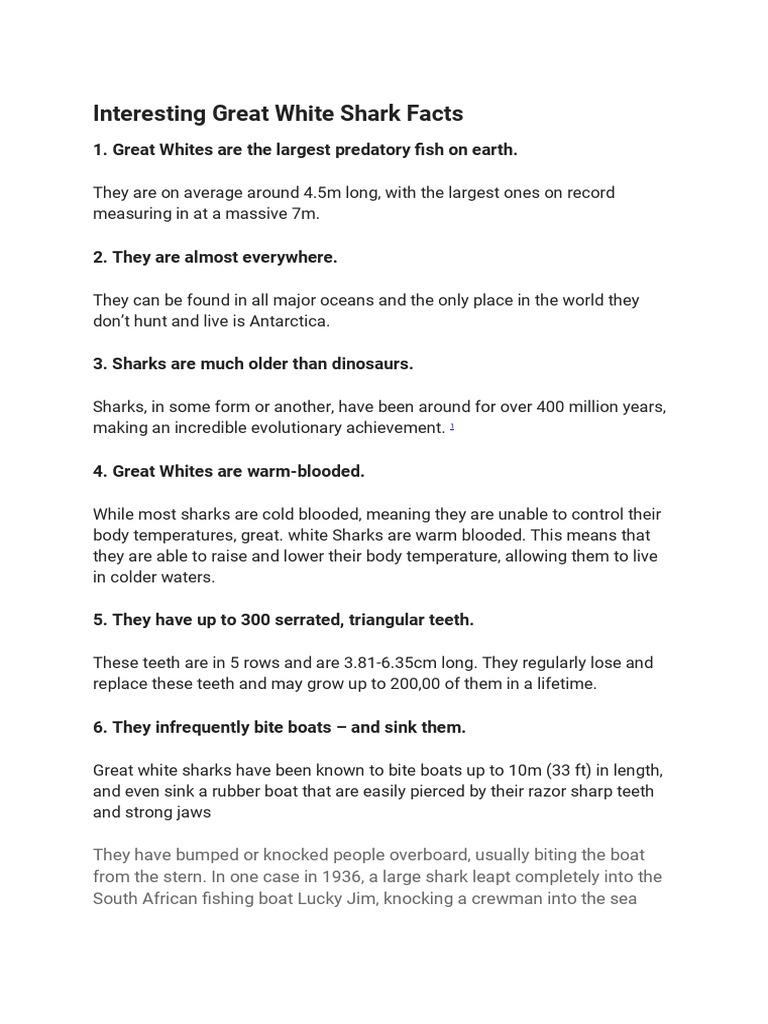 Interesting Great White Shark Facts | PDF | Great White Shark | Sharks
