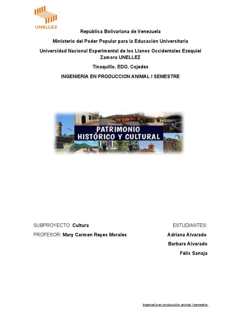 Informe Patrimonio | PDF | Patrimonio cultural | Sociedad