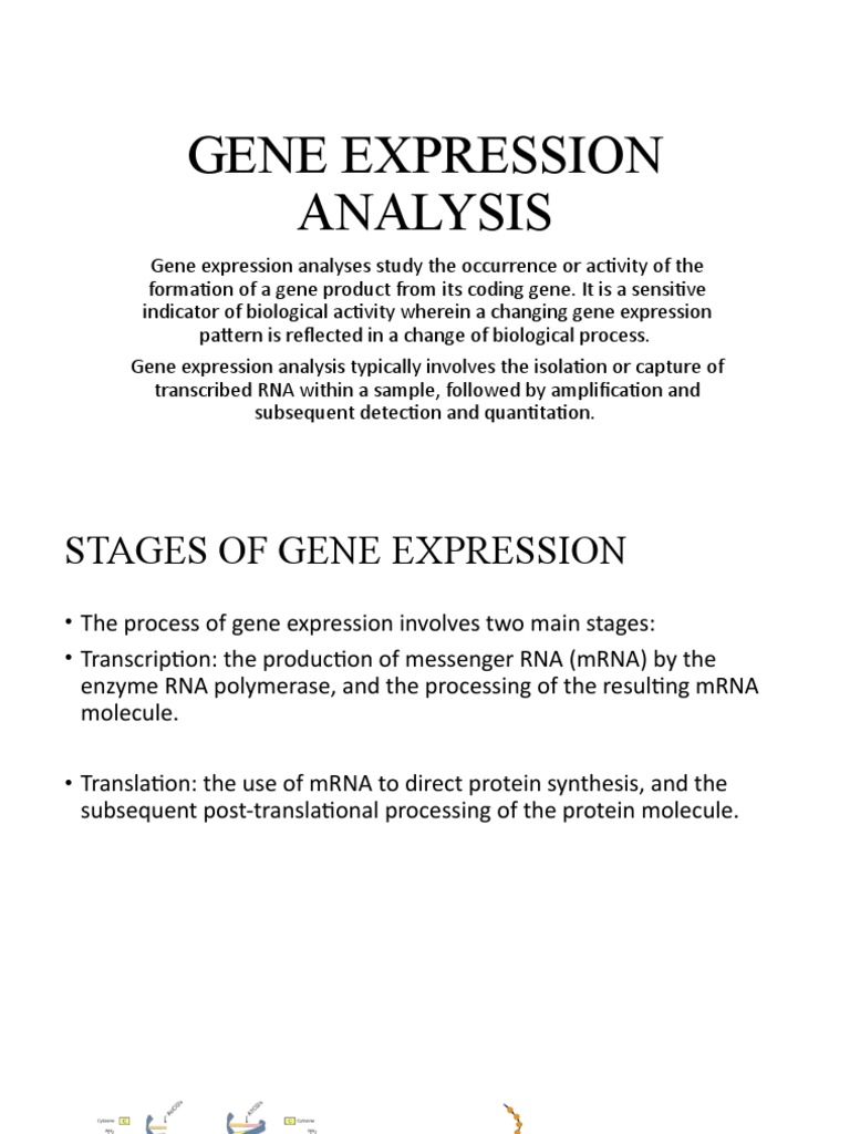 Gene Expression PPT Contd | PDF