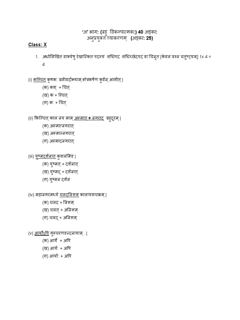 Sanskrit Question Paper Class 10 | PDF