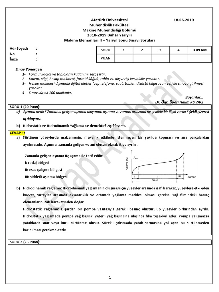 2018-2019 Bahar Final Makel Cevap Anahtarı | PDF