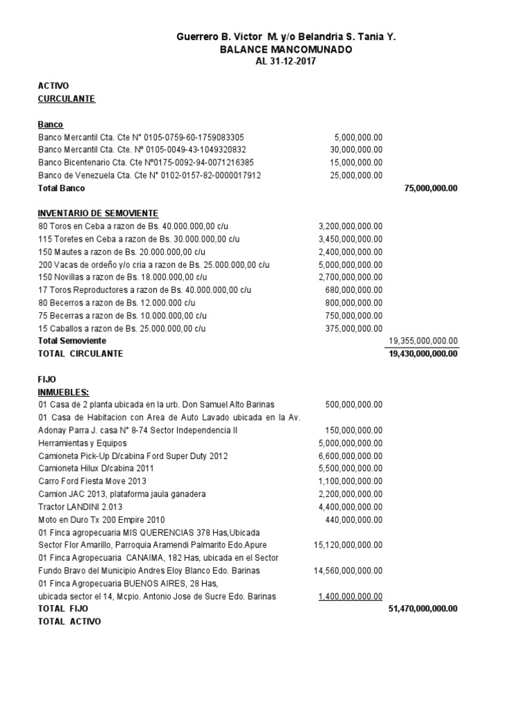 Balance Mancomunado 2017 | PDF | Industrias de servicio | Servicios ...