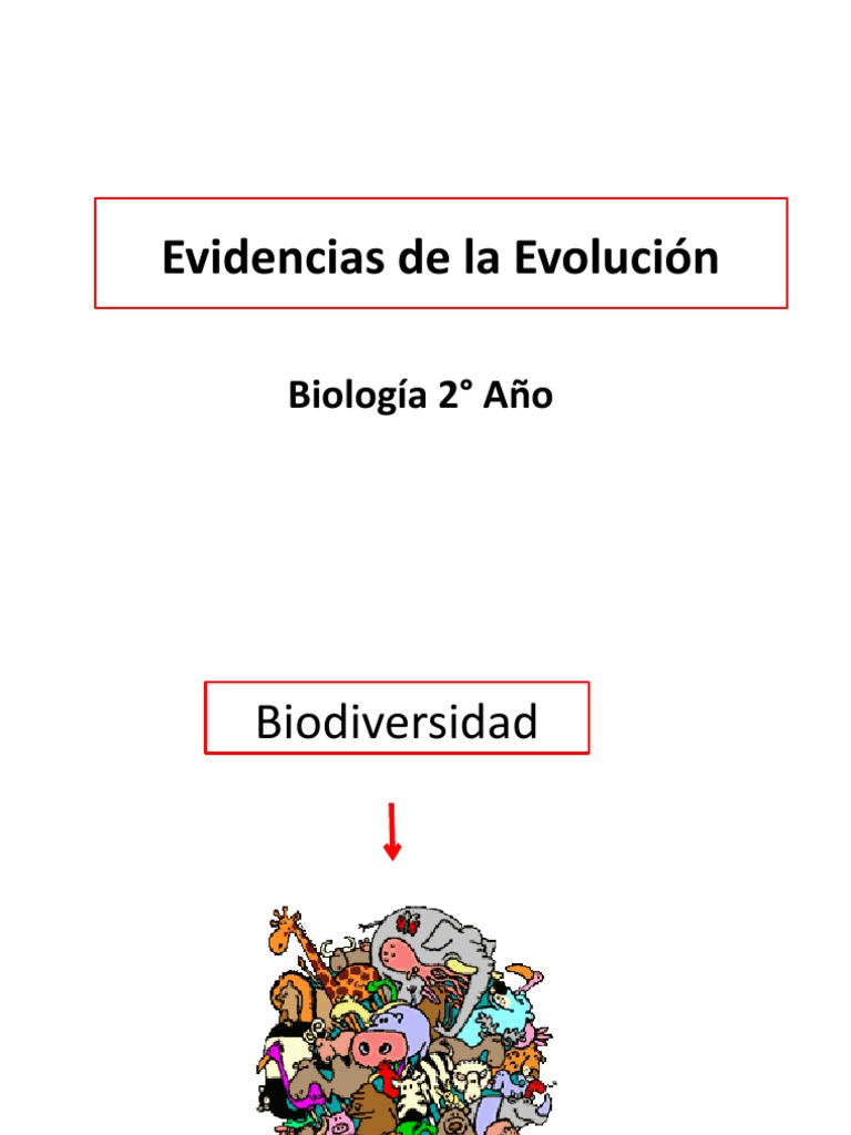 Evidencias Fósiles de la Evolución | PDF | Fósil | Evolución