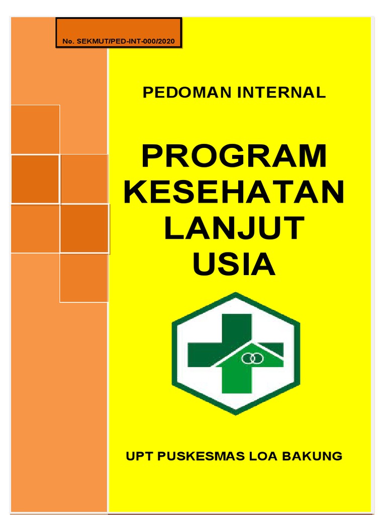 Pedoman Internal Program Lansia 2020 | PDF