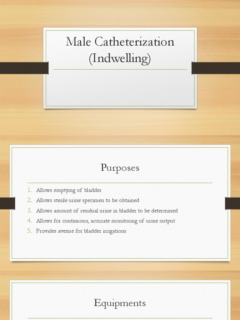 Male Catheterization Procedure Guide | PDF | Genitourinary System ...