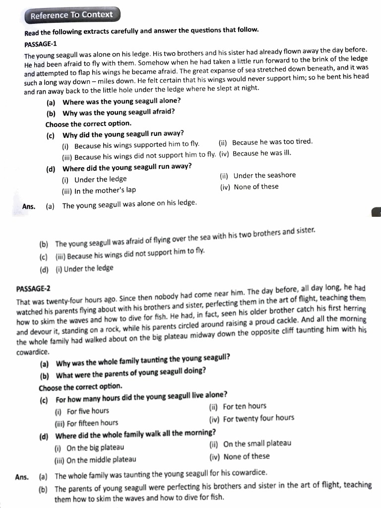 English-Class-X - ch-3 His First Flight (First Flight) Extracts | PDF ...