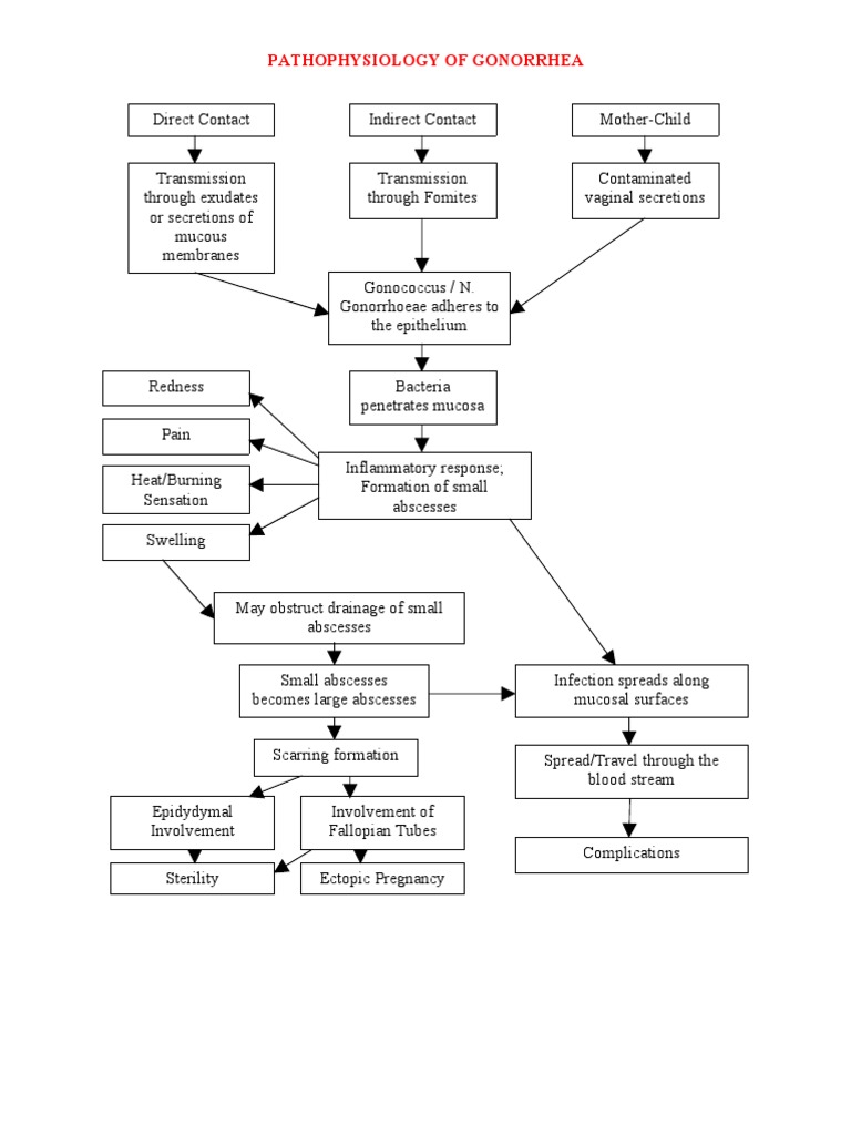 Pathophysiology Of Gonorrhea Diagram