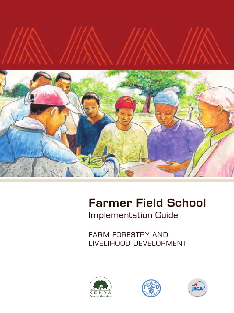 FFS Guide | PDF | Food And Agriculture Organization | Learning