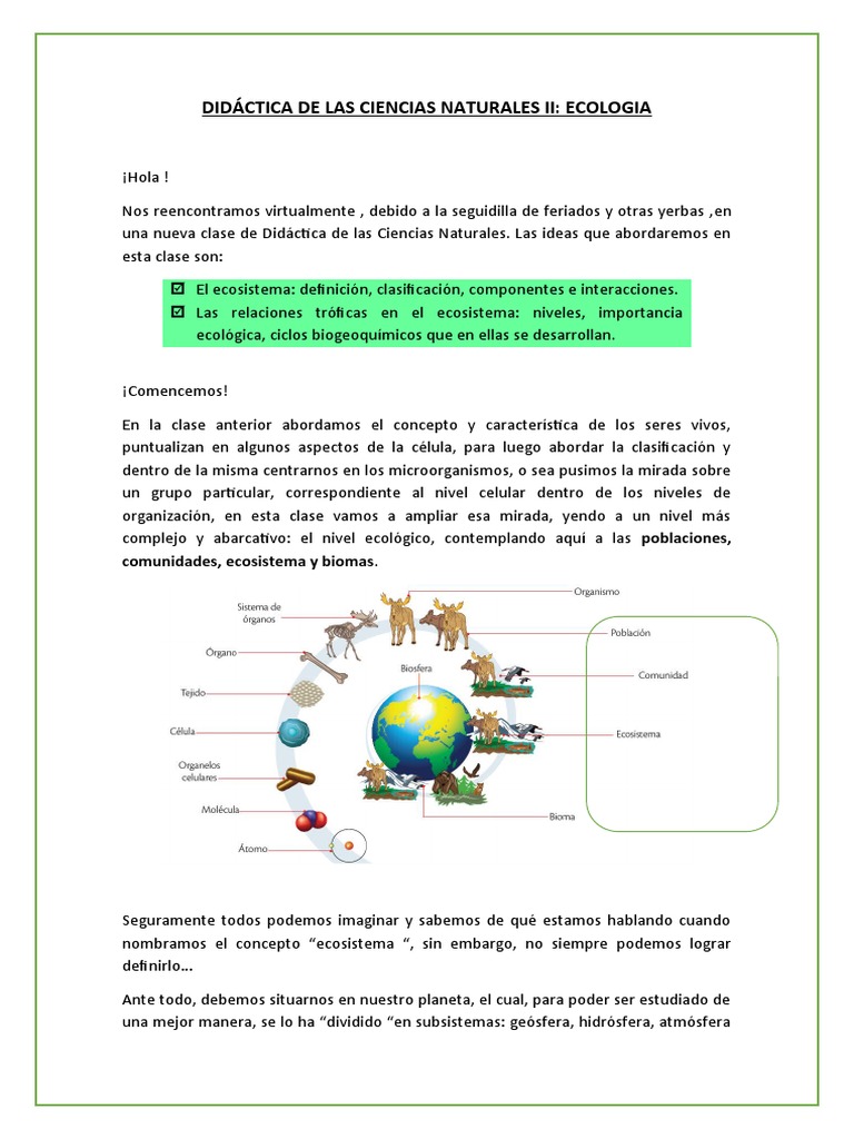 Clase Ecologia - Guia y Actividad | PDF | Ecosistema | Red alimentaria