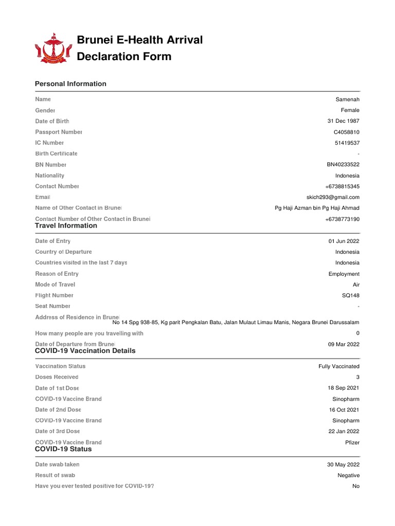 Brunei E-Health Arrival Declaration Form: Personal Information | PDF ...