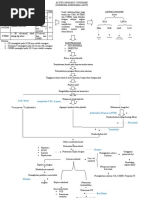 Patofisiologi Acs | PDF